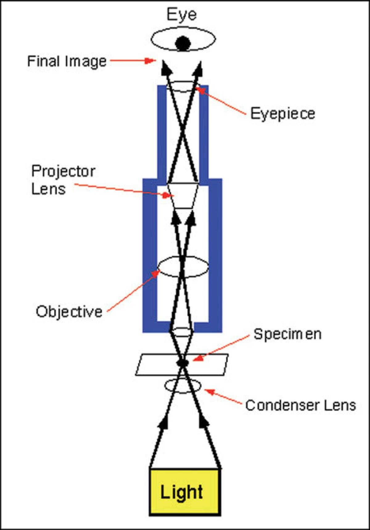 Testing Written Very Small | Electronic Design