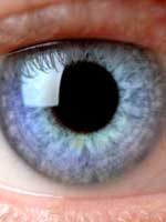 Iris Recognition Quadruples In Speed | Electronic Design