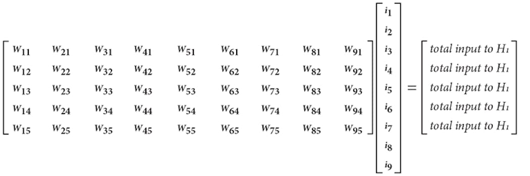 How Man-Made Neural Networks Emulate Biology to Advance AI and ML ...