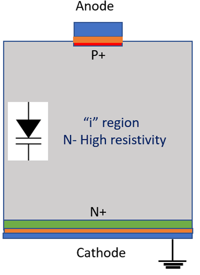 Shielded Anode PIN Diode Breathes New Life into a 1950s Technology ...