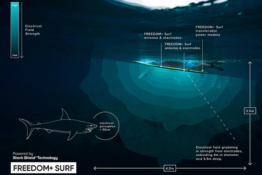 Diving into the World of Sharks and Attack-Prevention Tech | Electronic ...