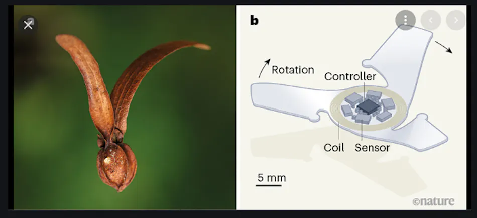 Seed-Inspired Battery-Free Microflier Collects Data as It Drifts Along ...