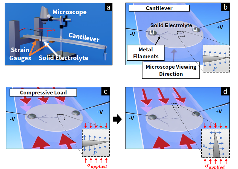 Battery Dendrites Shown to Form from Mechanical Stress | Electronic Design