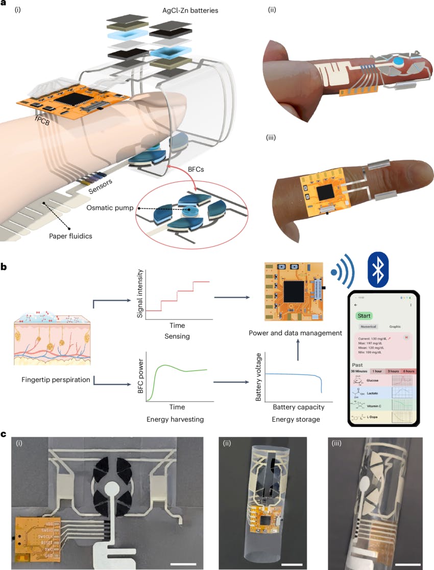 Skin-Based Sensing and Energy Harvesting: Flexible and Non-Invasive ...